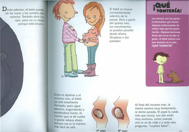 ¿qué Es Esto La Sexualidad Explicada Para Niños Pdf