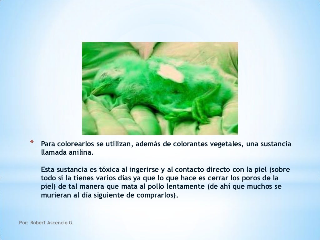 Qué es la anilina (vegetal).
