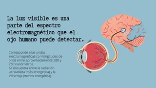 Qué es la luz visible aplicacion en fisica II.pdf