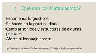 Qué son los metaplasmos | PPTX