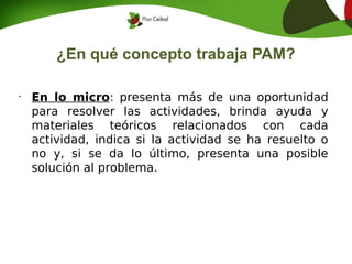 ¿Qué es pam | PDF