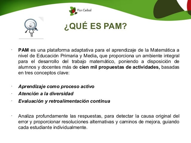 ¿Qué es pam