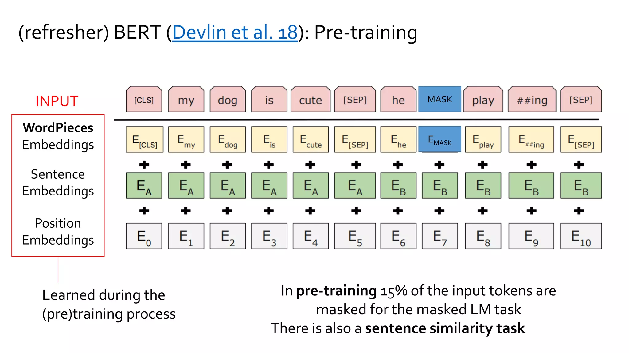 Fine-tuning BERT for Question Answering | PPT
