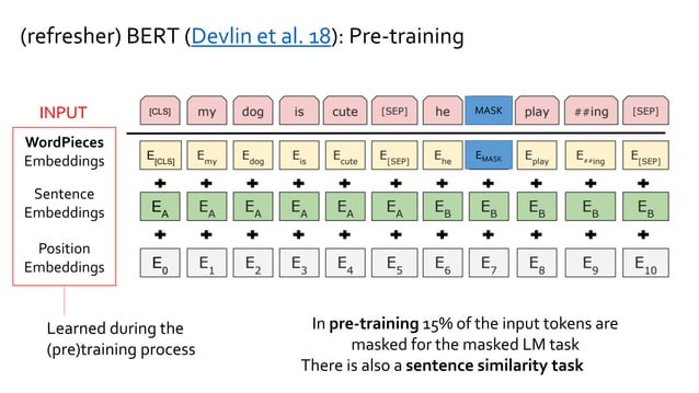 Fine-tuning BERT for Question Answering | PPT