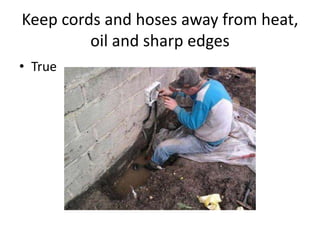 Question excerpt | PPT