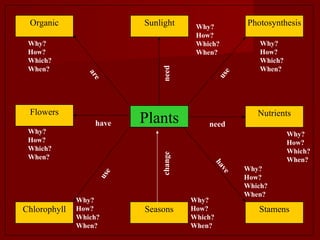 Question Mapping | PPT