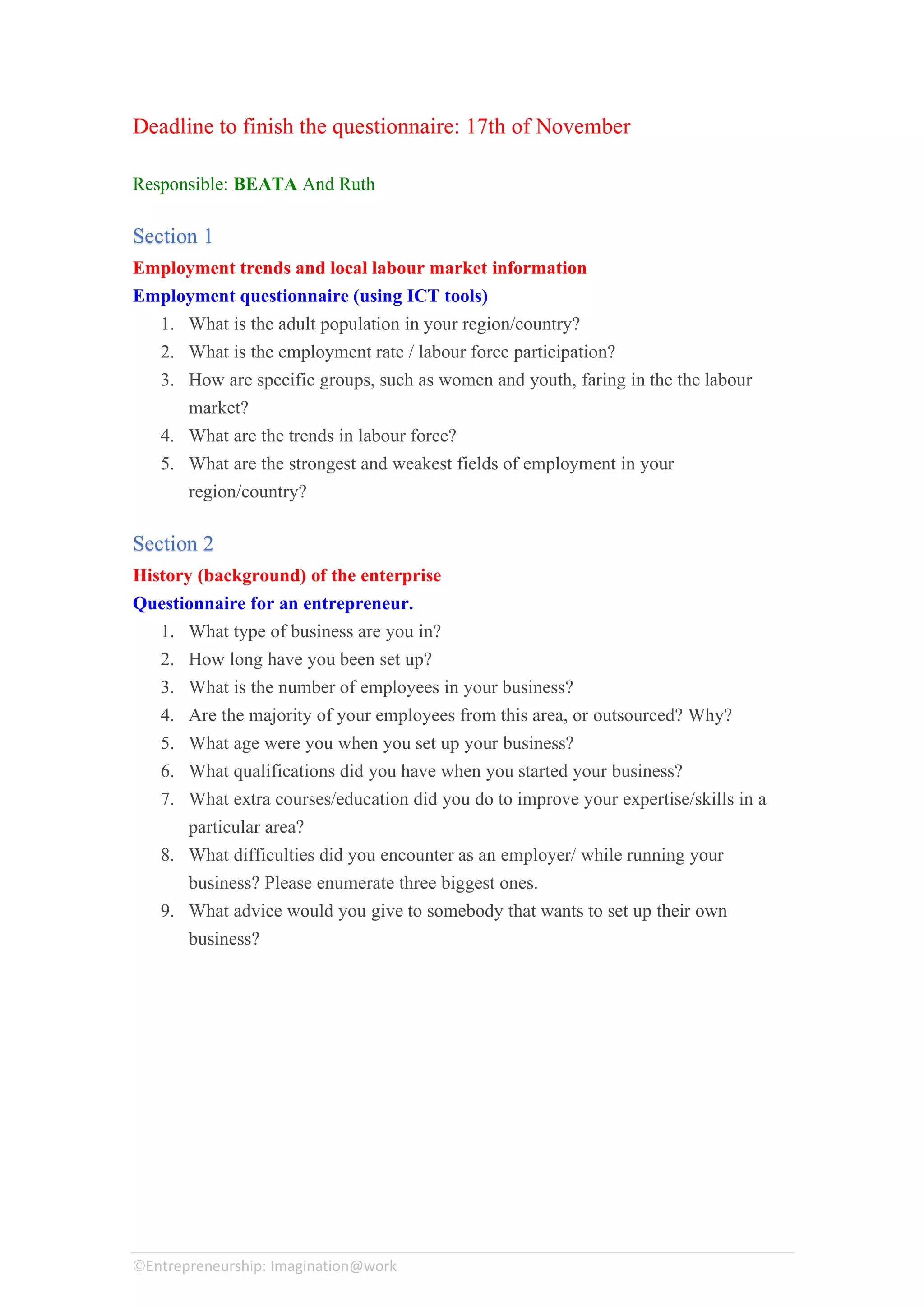 Questionnaire Entrepreneurship Imagination at work | PDF