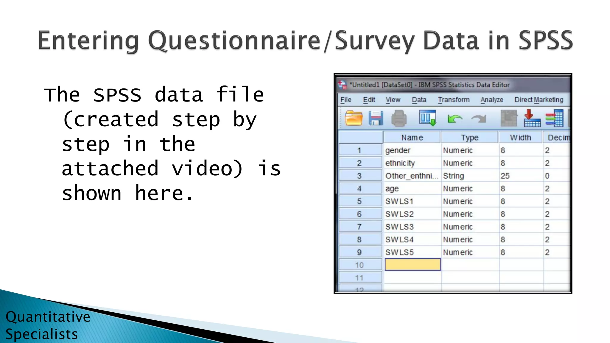 How to enter and analyze questionnaire (survey) data in SPSS | PDF