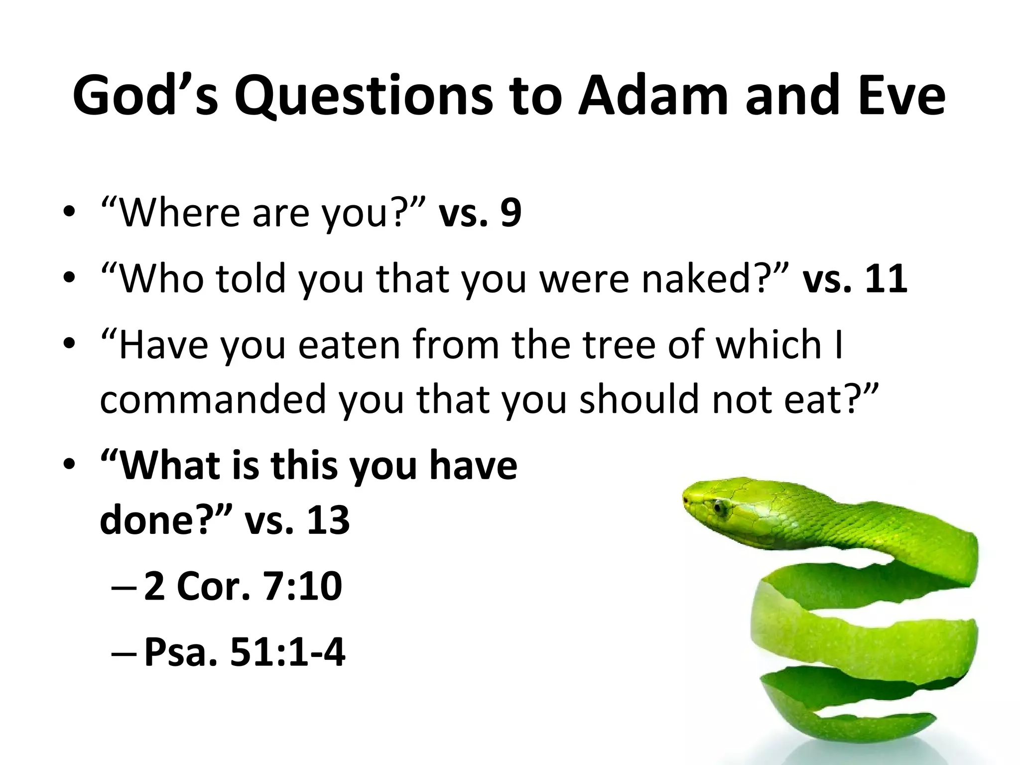 God's Questions to Adam and Eve | PPT