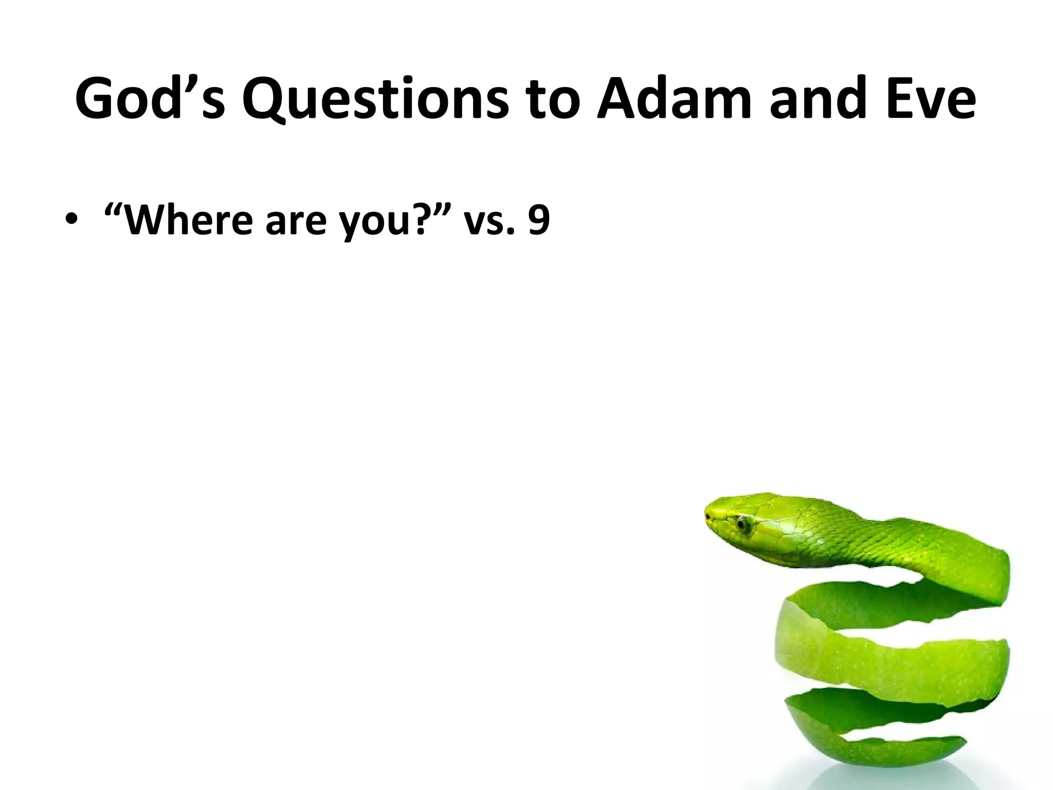 God's Questions to Adam and Eve | PPT