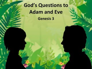 God's Questions to Adam and Eve | PPT