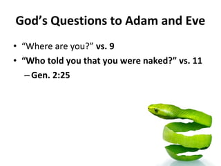 God's Questions to Adam and Eve | PPT