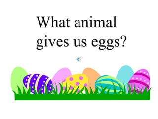 Questions animal | PPT