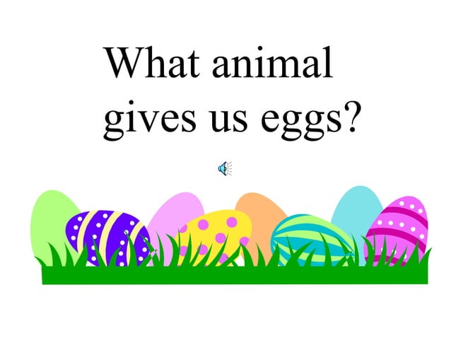 Questions animal | PPT