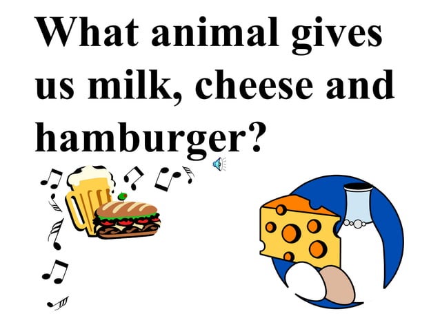 Questions animal | PPT