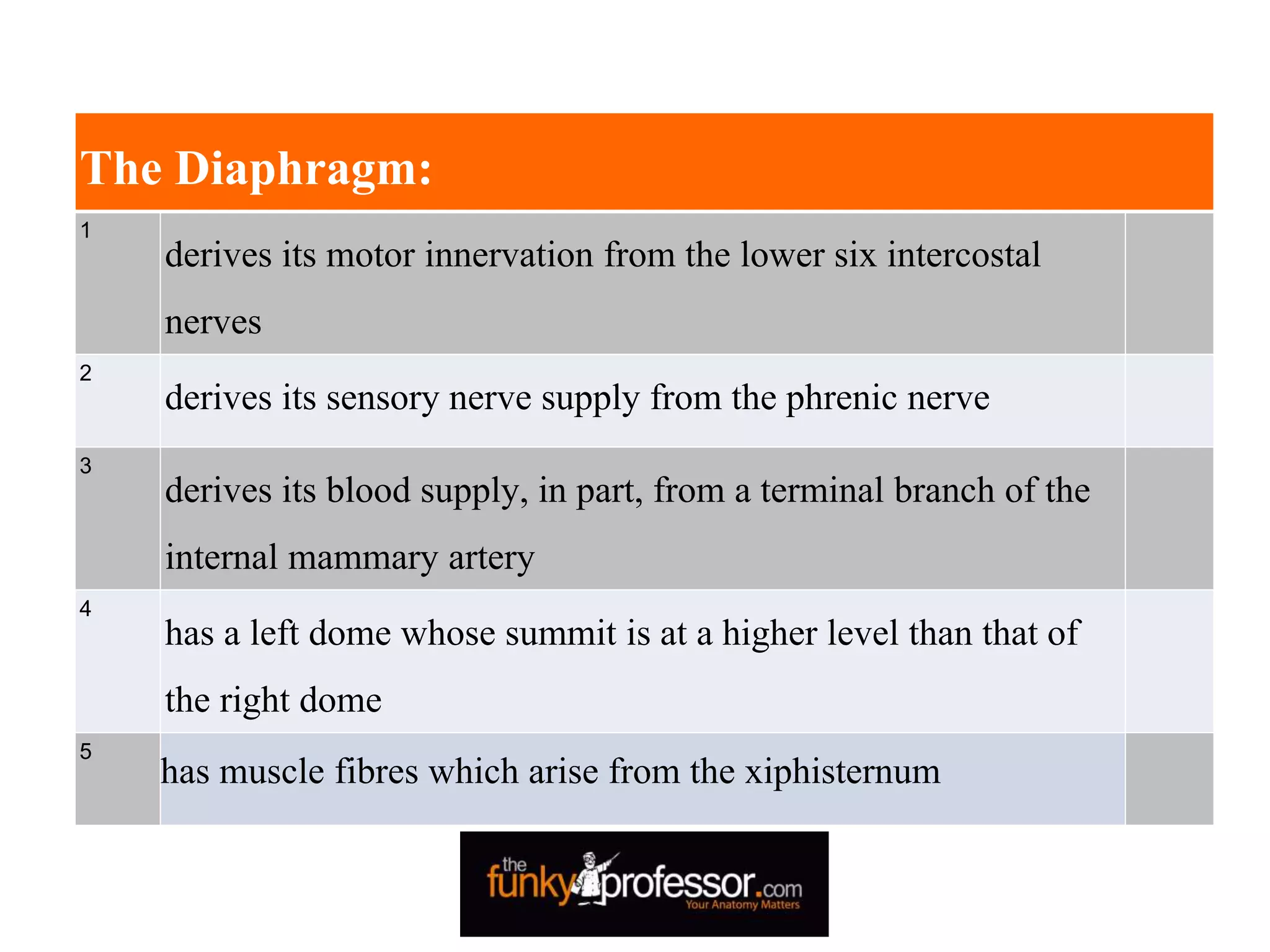 Questions Diaphragm | PPTX