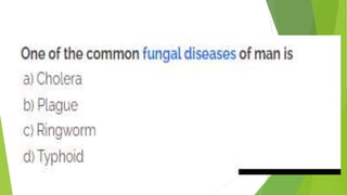 QUESTIONS FOR FUNGI AND PROTISTA under domain bacteria and domain ...