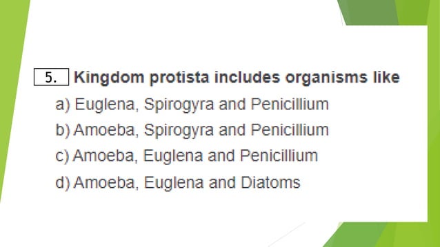 QUESTIONS FOR FUNGI AND PROTISTA under domain bacteria and domain ...
