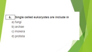 QUESTIONS FOR FUNGI AND PROTISTA under domain bacteria and domain ...