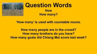 Question words | PPTX