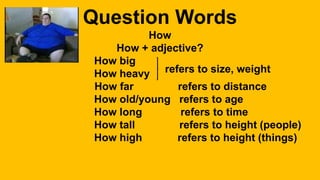 Question words | PPTX
