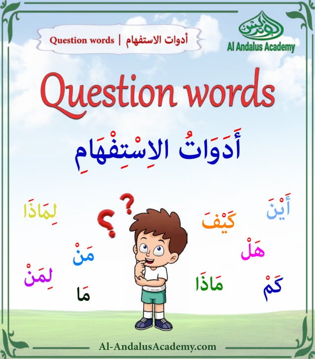 10 arabic question words with examples, questions in arabic – PBFF