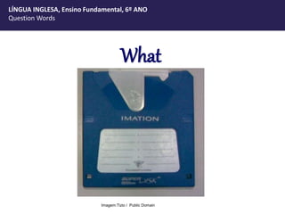 Question words how, what, where, who, when, how old.ppt