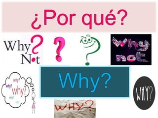 Question words in spanish | PPT
