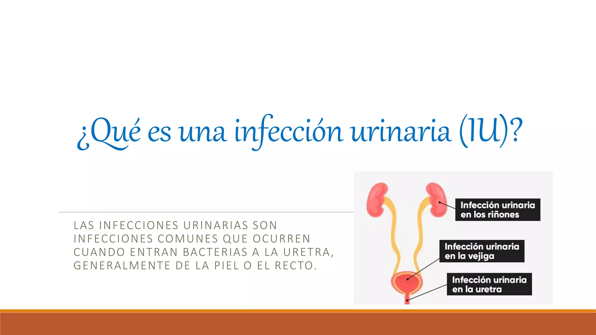 Qué es una infección urinaria (IU.pptx