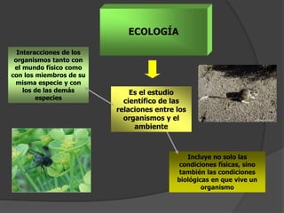 Qué es un ecosistema y como están organizados | PPTX