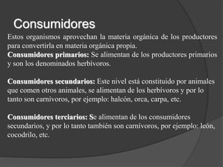 Qué es un ecosistema y como están organizados | PPTX