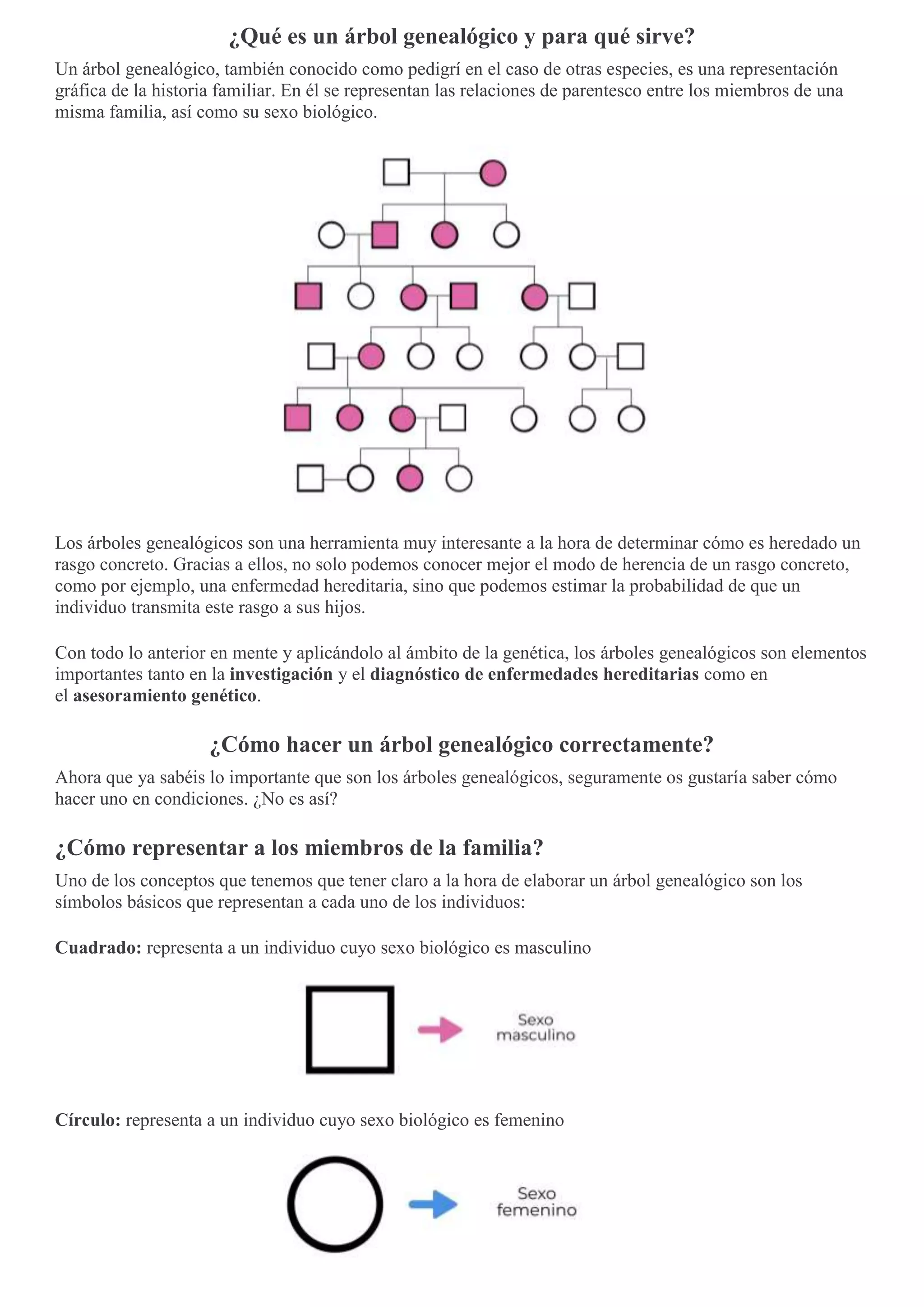 Qué es un árbol genealógico y para qué sirve.docx