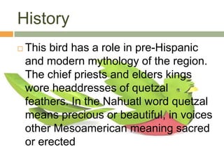 Quetzal | PPTX