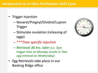 Quick-Start-Intro-to-IVF_2019-wecompress.com_.pptx