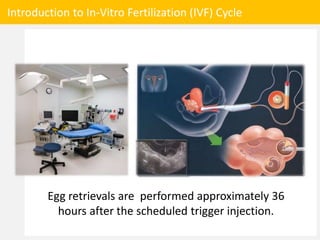 Quick-Start-Intro-to-IVF_2019-wecompress.com_.pptx