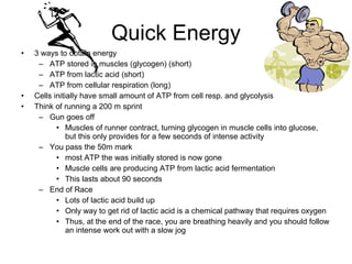 Quick And Long Energy | PPT