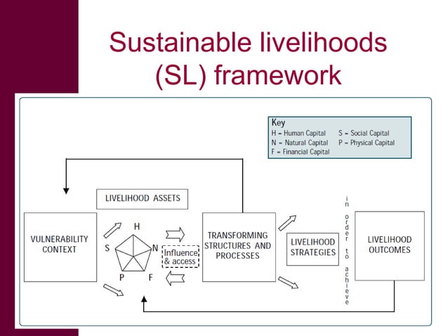 A sustainable livelihoods approach for the Africa-RISING ‘Quick Feed ...