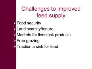 Introducing the ‘Quick Feeds’ project - Fodder and feed as a key ...