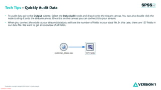 Quickly Audit Data in IBM SPSS Modeler.pptx