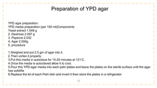 Quickly · SlidesCarnival presentation by mansi.pptx