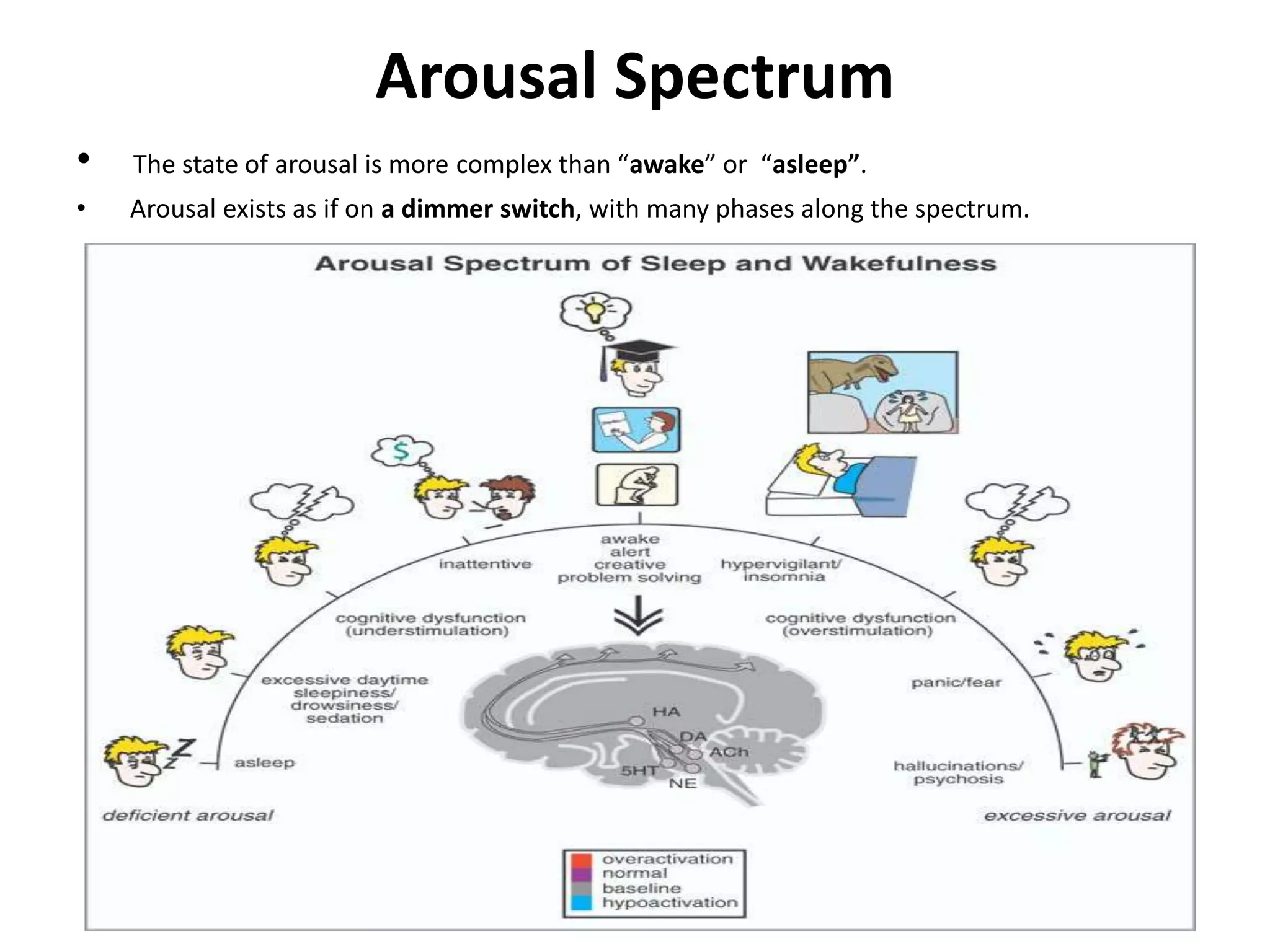 Quick reminder of sleep and wakefulness spectrum | PPTX