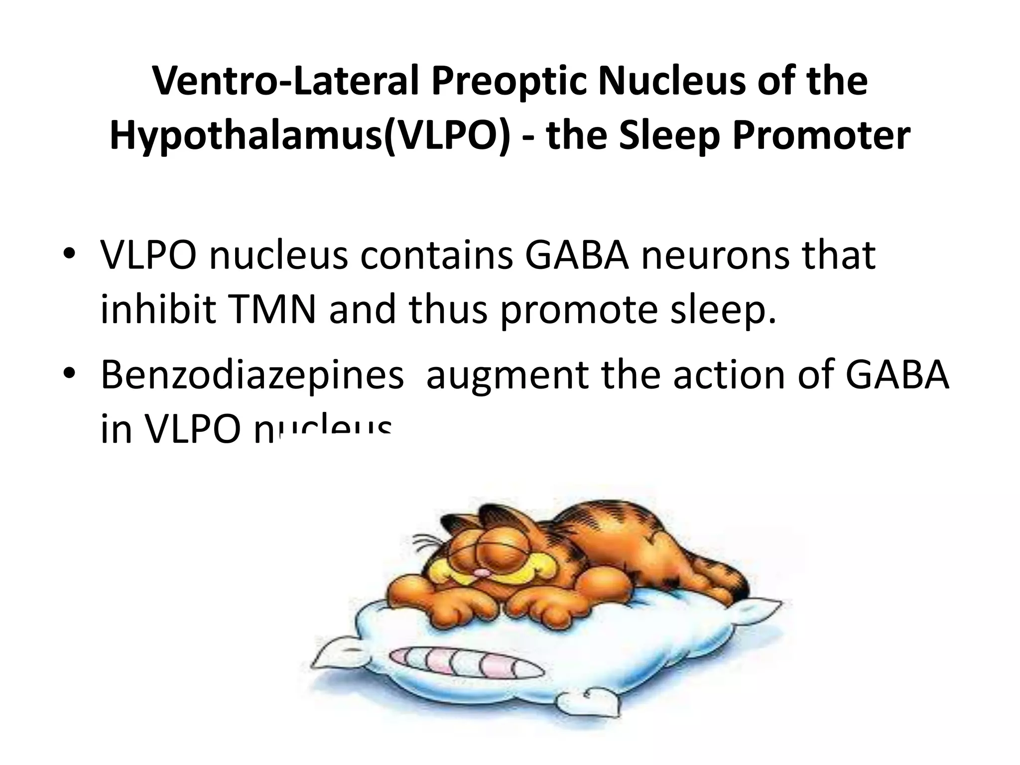 Quick reminder of sleep and wakefulness spectrum | PPTX