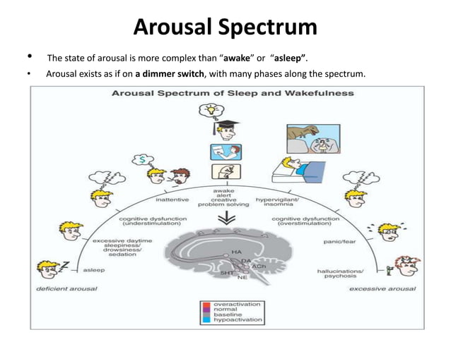 Quick reminder of sleep and wakefulness spectrum | PPT