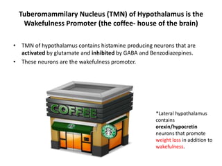 Quick reminder of sleep and wakefulness spectrum | PPTX
