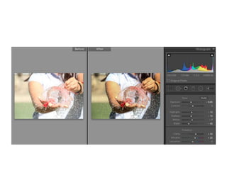 Quick Shutter Speed Photography | PPTX | Cameras and Camcorders ...