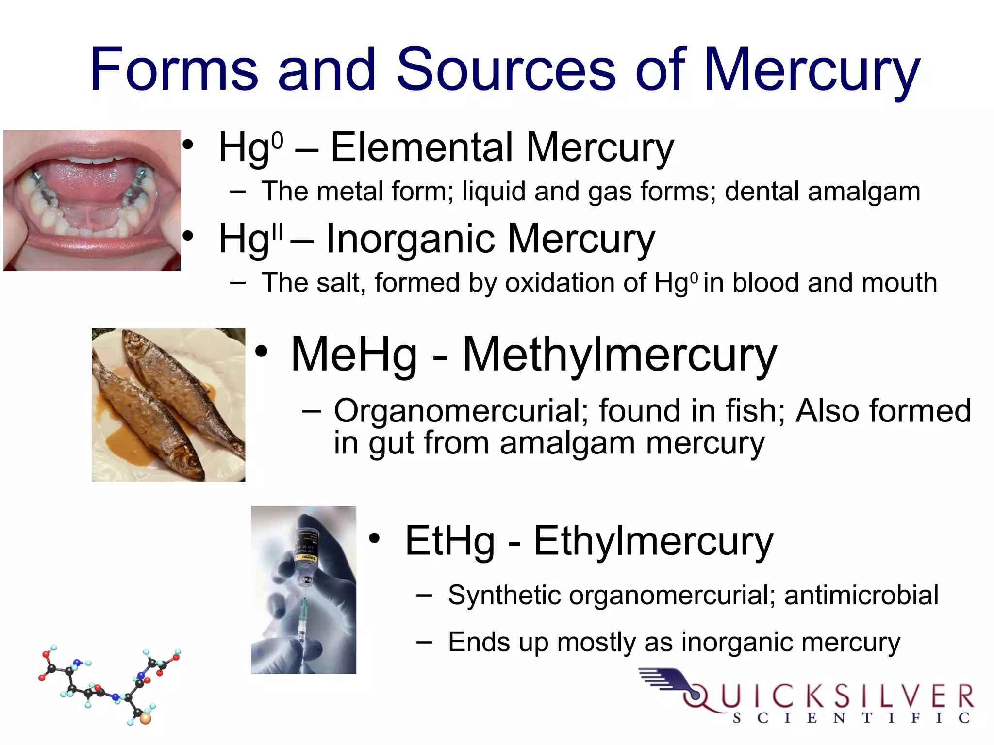Quicksilver Scientific Clinical Mercury Testing | PPT
