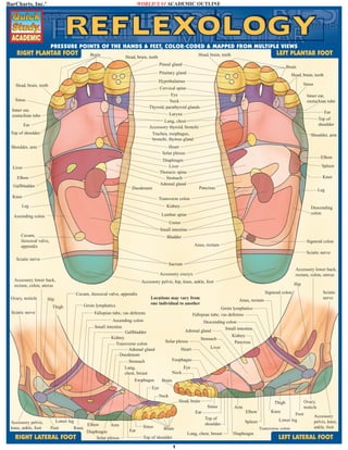 Quick study reflexology | PDF