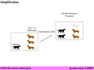 Basics to evolutionary invasion analyses | PDF
