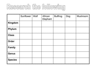 Kingdom Phylum Class Order Family Genus Species Worksheet