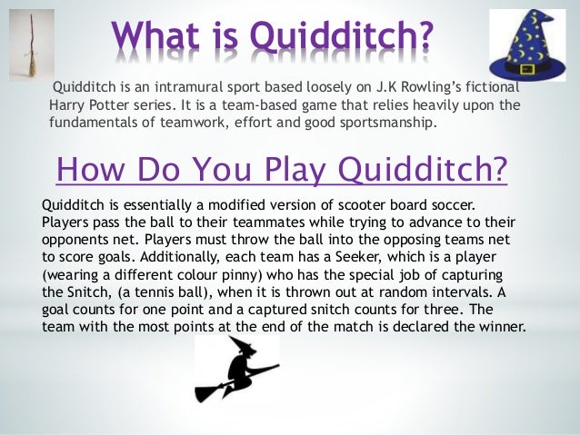 Quidditch Sign